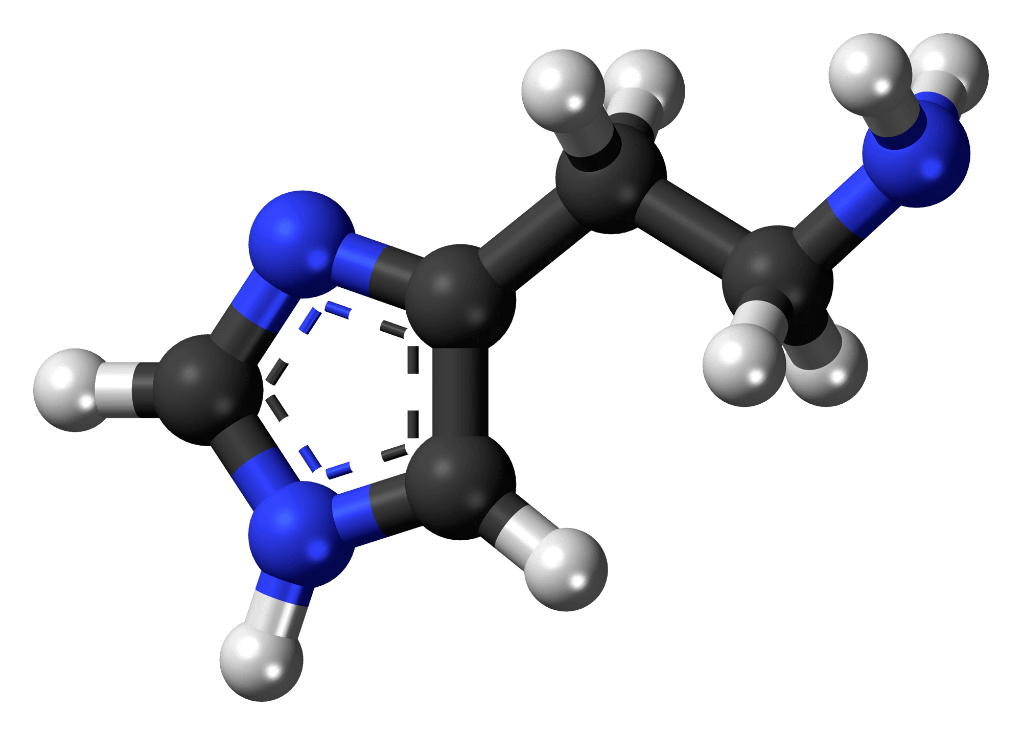 Histamine And Antihistamine Medication 5 Main Facts Histamine And Antihistamine Medication 5 Main Facts